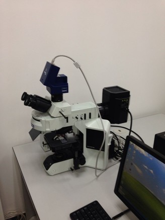 【奥林巴斯BX53】报价_参数_图片_论坛_OLYMPUS BX53奥林巴斯显微镜报价-ZOL中关村在线