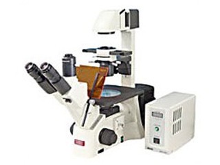 【麦克奥迪AE31】报价_参数_图片_论坛_Motic AE31麦克奥迪显微镜报价-ZOL中关村在线