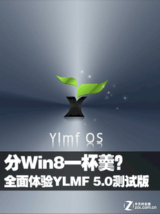 分Win8一杯羹？全面体验YLMF 5.0测试版_服务器评测与技术-中关村在线